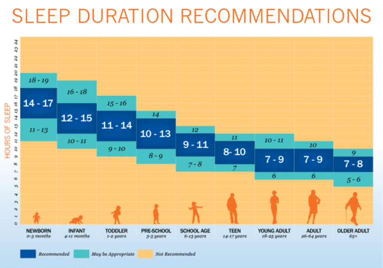 How to Sleep 8 Hrs in 4 Hours: Basic Info & Tips (Winter 2024)