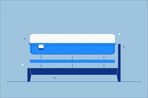 Bunkie Board vs Box Spring: In-Detail Comparison, Pros and Cons (Winter ...