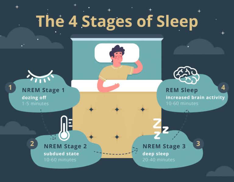 Stages of Sleep: What Does Each Stage Do? (Spring 2023)